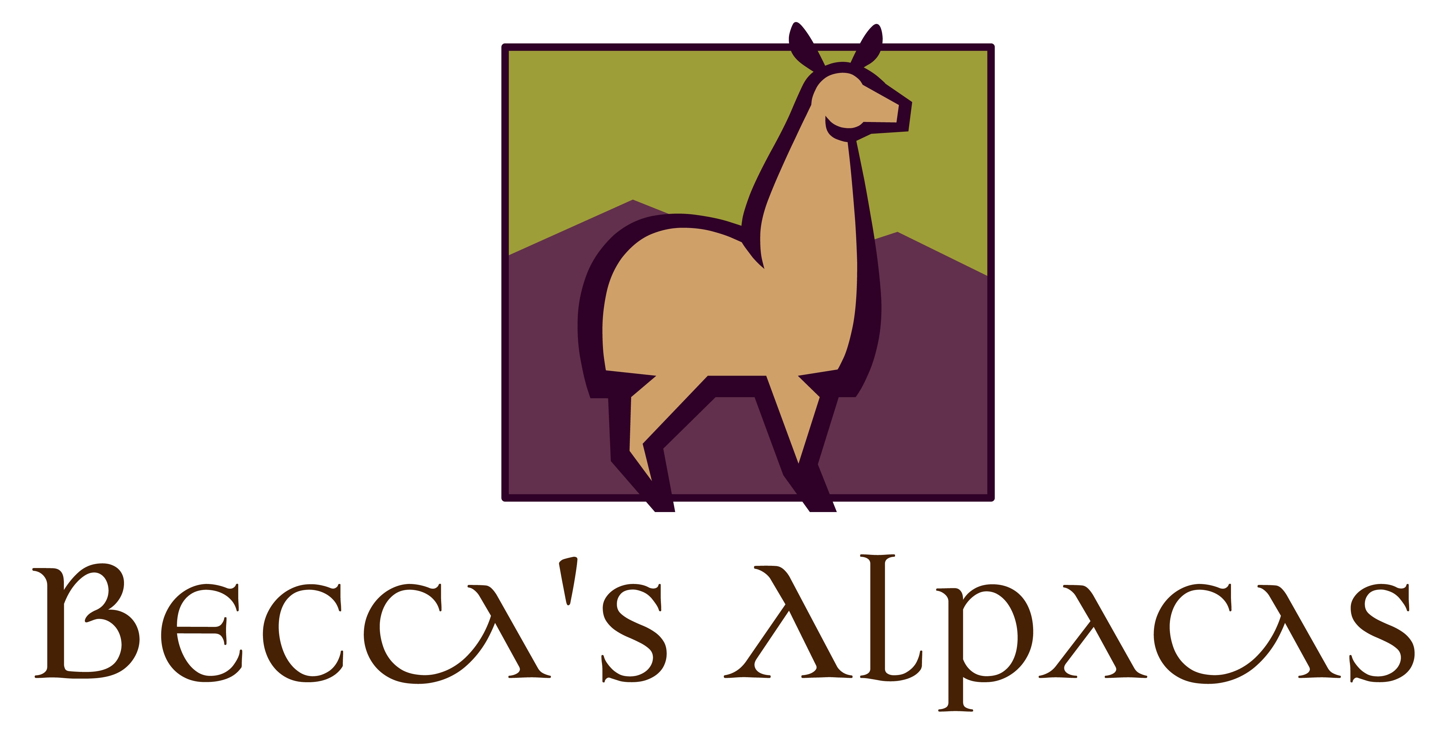 Becca's Alpacas – Becca’s Alpacas